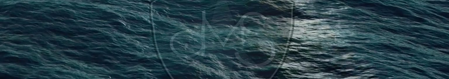 About DMS Holland - NZ Marine Stabilisers